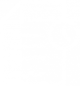 DG Nexolution Mobility - DG Nexolution Mobility GmbH